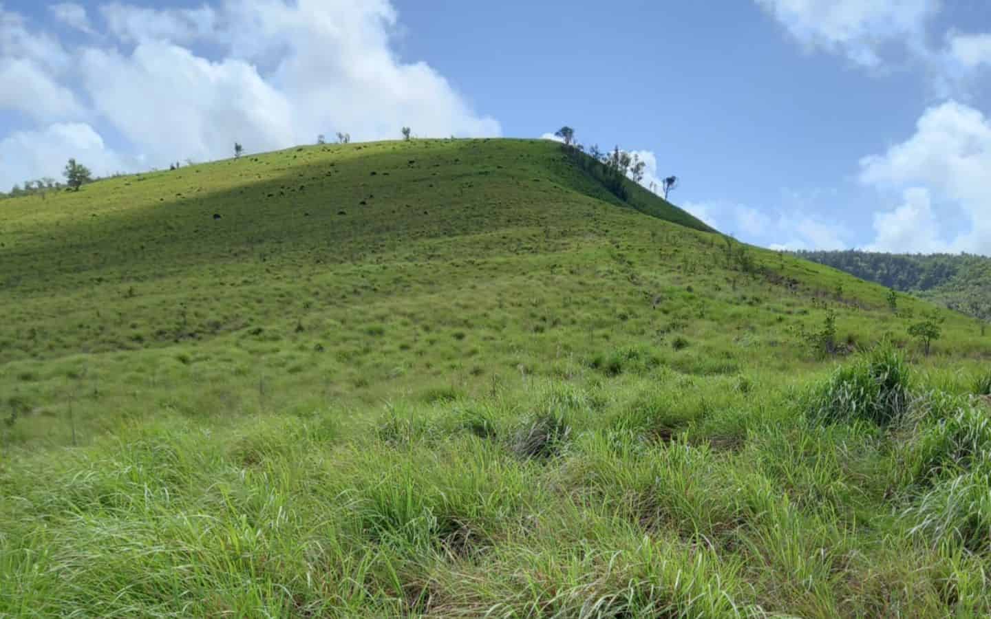 Land with ocean view in Syers Estate, St Joseph | Realty Dominica